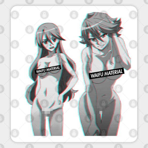 Akame Ga Kill Leone And Chelsea Waifu Material Hentaik1ng Sticker Teepublic